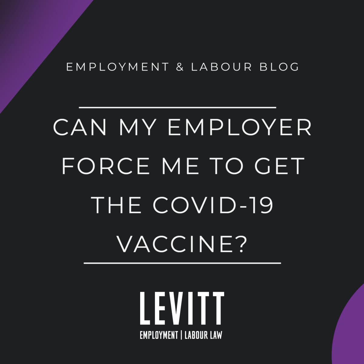 Can My Employer Force Me To Get The Covid 19 Vaccine Levitt Sheikh can-my-employer-force-me-to-get-the-covid-19-vaccine-levitt-sheikh